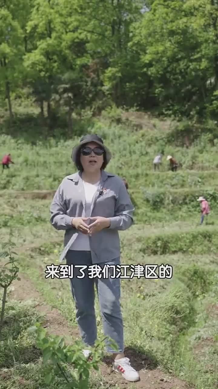 劳动节,愿所有用心耕耘的人,终有收获致敬平凡的你劳动节新农人计划