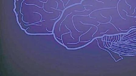 七年级下数学二元一次方程组