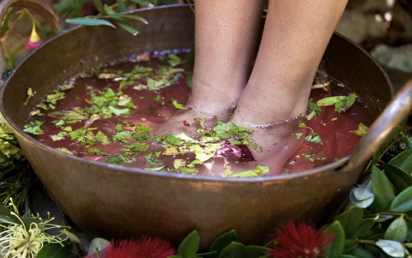 润锦说丨少儿丨苏叶水泡脚也能治疗感冒