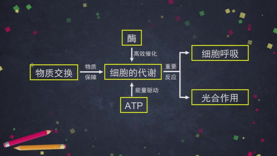 【空中课堂】高一生物学(人教版)-合格考复习3:细胞的代谢(2)