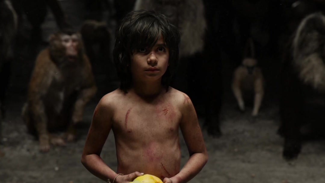 巨猿叫它枇杷果 人类叫它木瓜