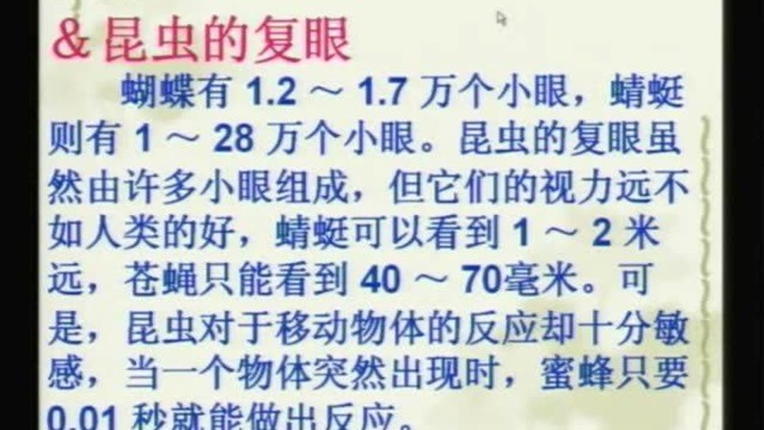 教科版_六年级_科学_六年级下册科学第一单元第2课《放大镜下的...