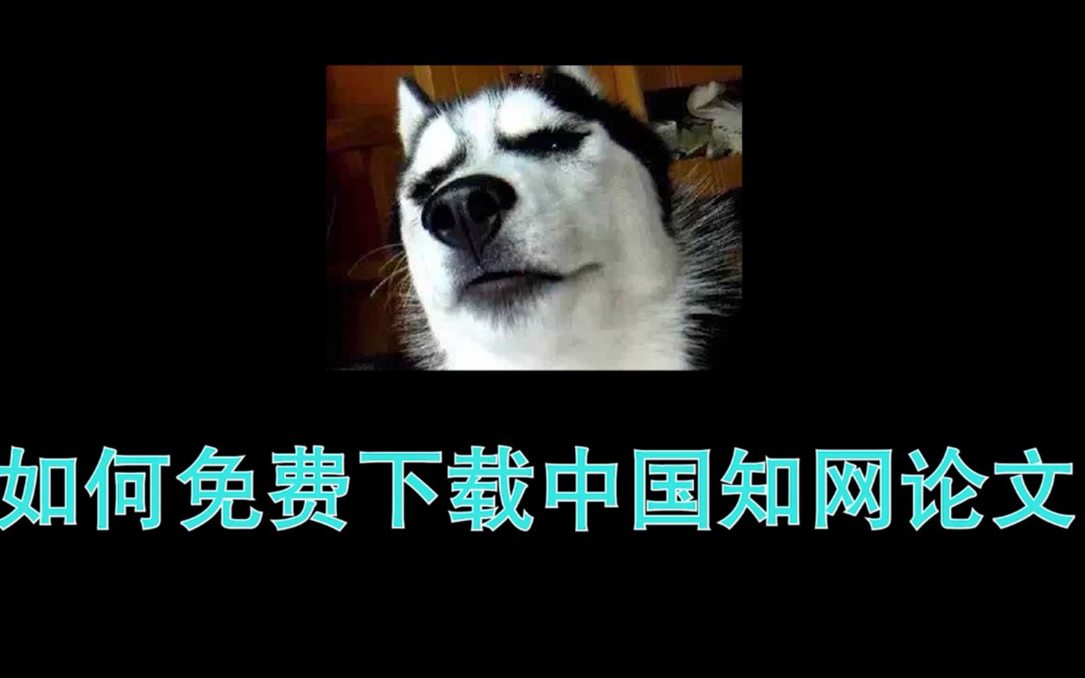 【论文狗福音】免费下载中国知网文献,你知道怎么下载吗?