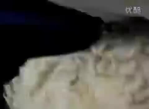 真实 五个狗咬死一只狼