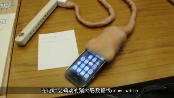 猪大肠一样的恶心数据线几万一条功能神奇