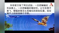 11 蝙蝠和雷达(朗读)