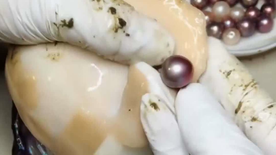 珍珠的内部是什么样的?我们切开看看