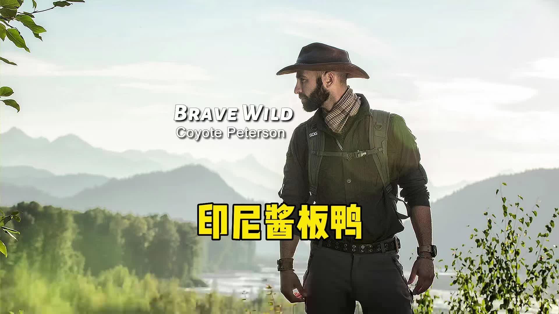 印尼特色美食之烟熏酱板鸭,凡凡肯定吃不上这道菜了