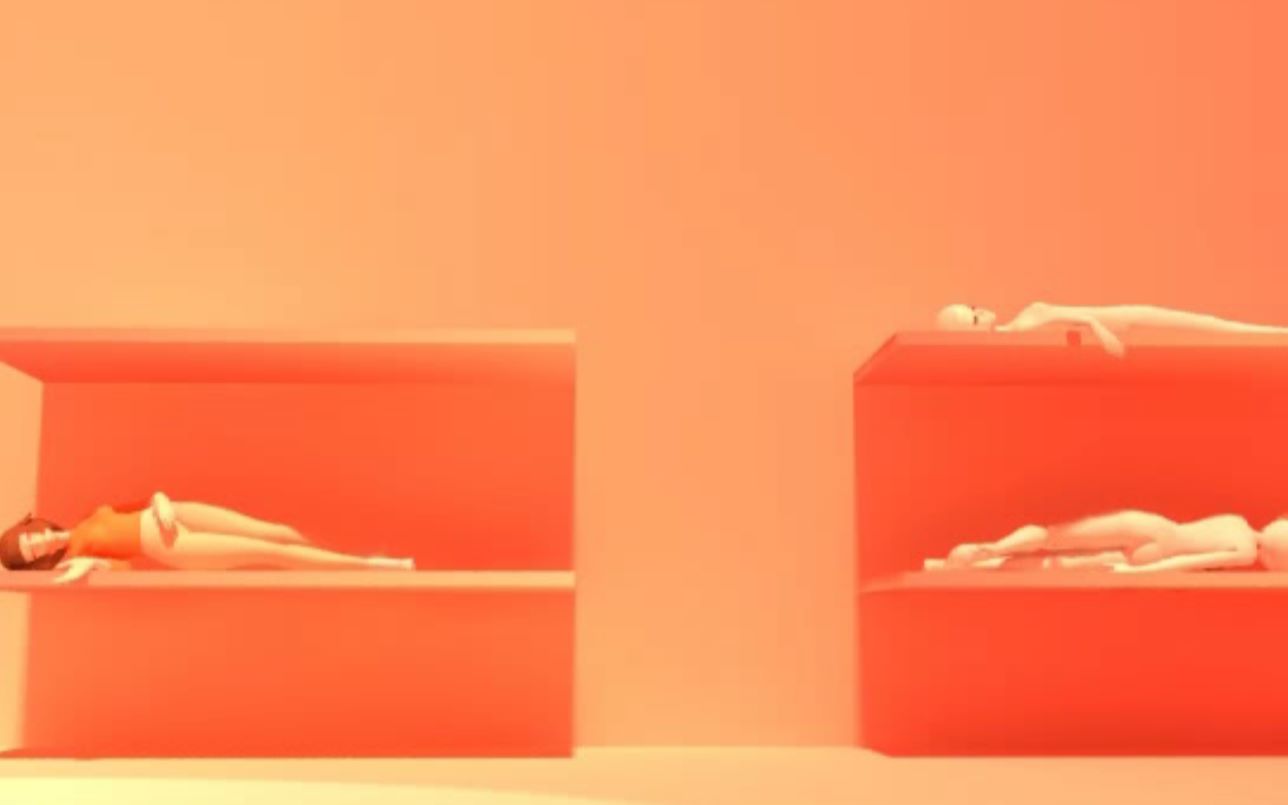 【三年动画】2.为什么大学生的睡眠普遍不足.