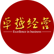 人才战略实战 