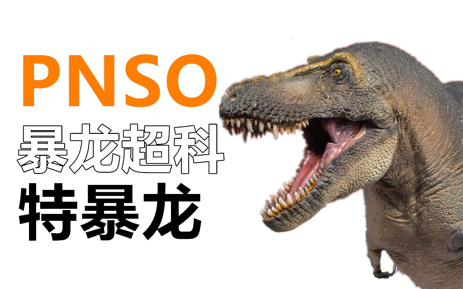 【恐龙模型】PNSO暴龙家族新成员!特暴龙登场!