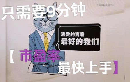 企业盈利能力分析|市盈率