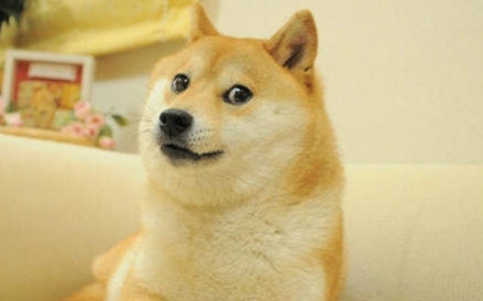 化学实验【老版】不要问为啥传这个!