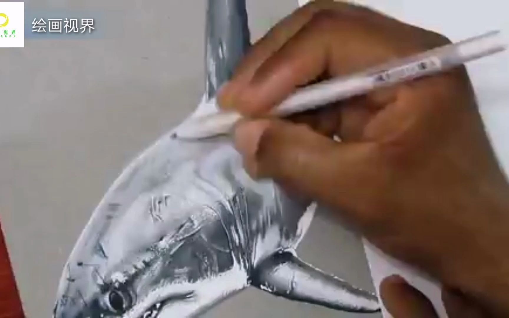 教你画鲨鱼按照步骤画你也能画出这么逼真的画