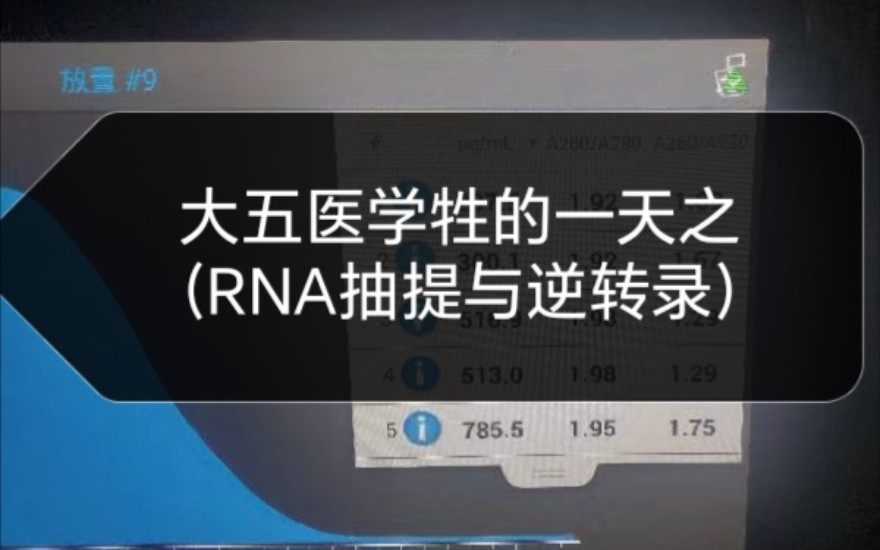大五医学牲的一天之(RNA抽提与逆转录)