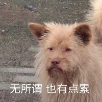 比流氓兔更流氓 