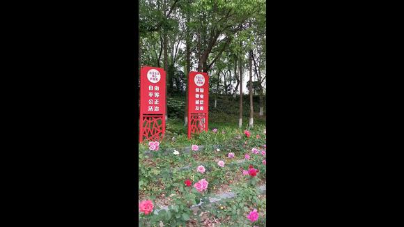 什么是社会主义核心价值观