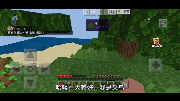 我的世界:能力果实大冒险1,为什么我开出一个辅助果实?