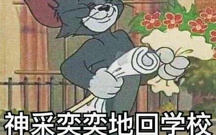 皇室战争改版绿林猪的低阶日常