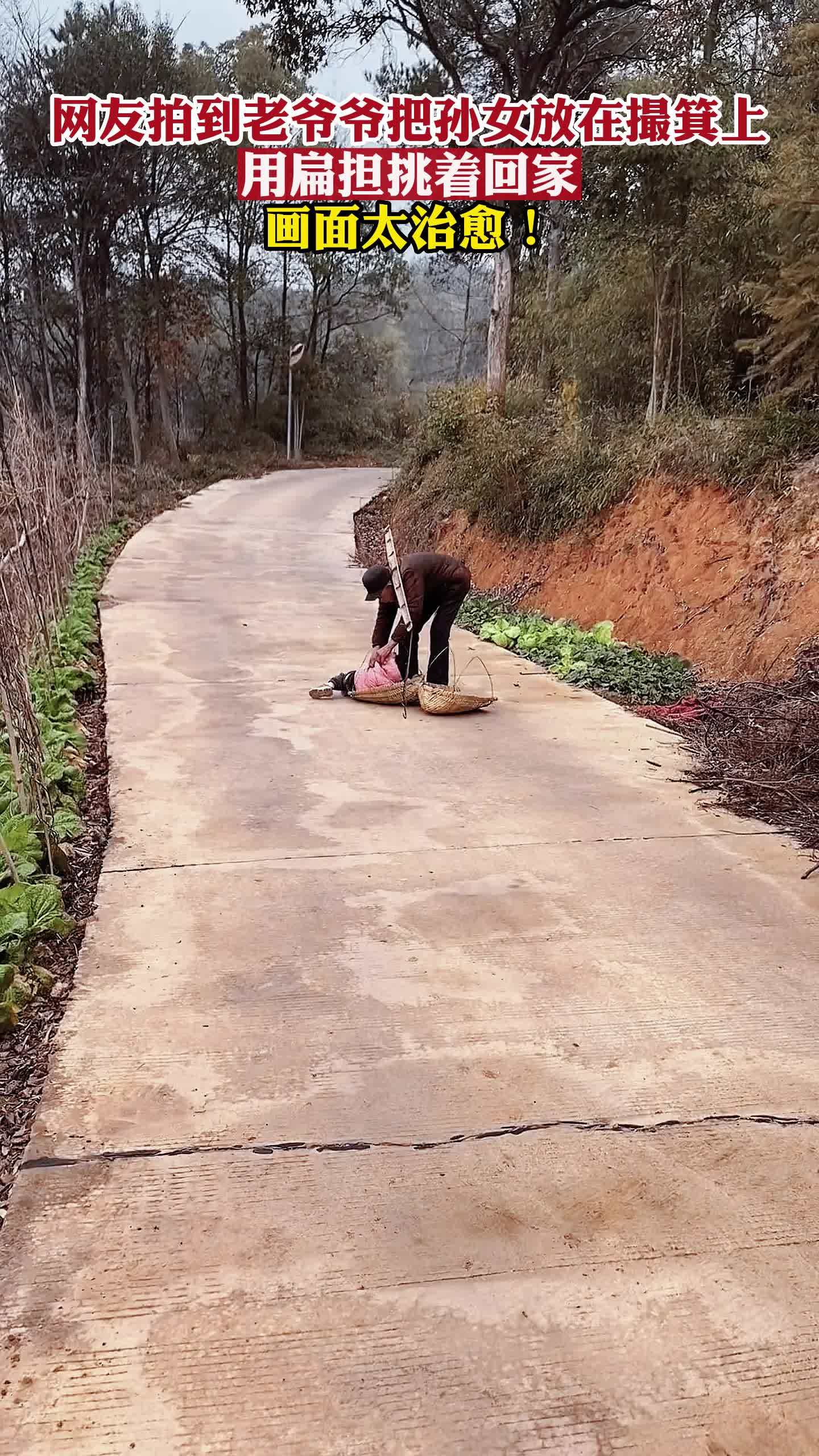 网友拍到老爷爷把孙女放在撮箕上,用扁担挑着回家,画面太治愈!