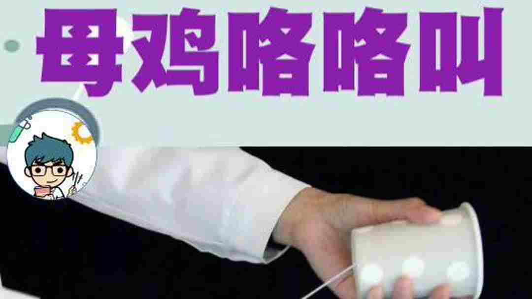 科学小实验:母鸡咯咯叫#星知计划#