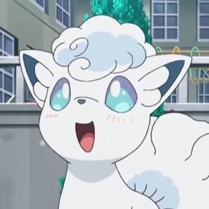 宝可梦六六 