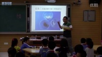 三年级科学水能溶解一些物质 教学课例福田小学