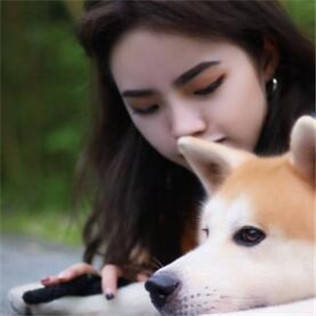 千色秋田犬柴犬 