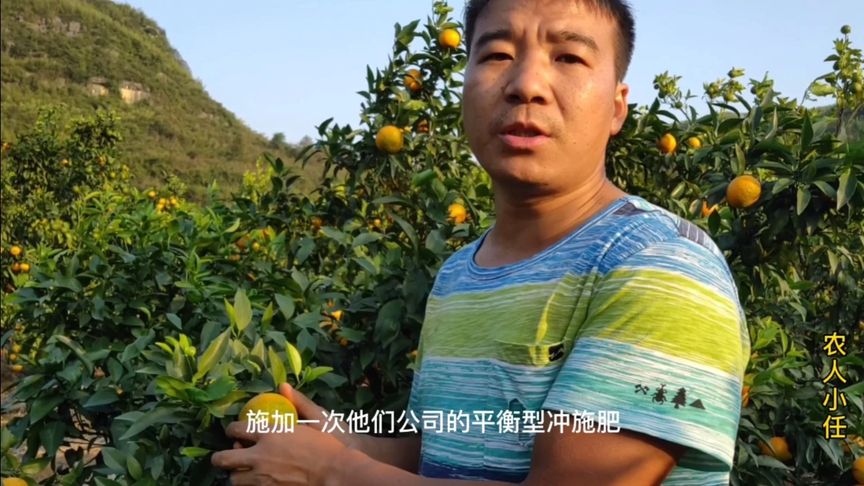 农资店老板又来做技术指导,我真的好尴尬,也好无奈