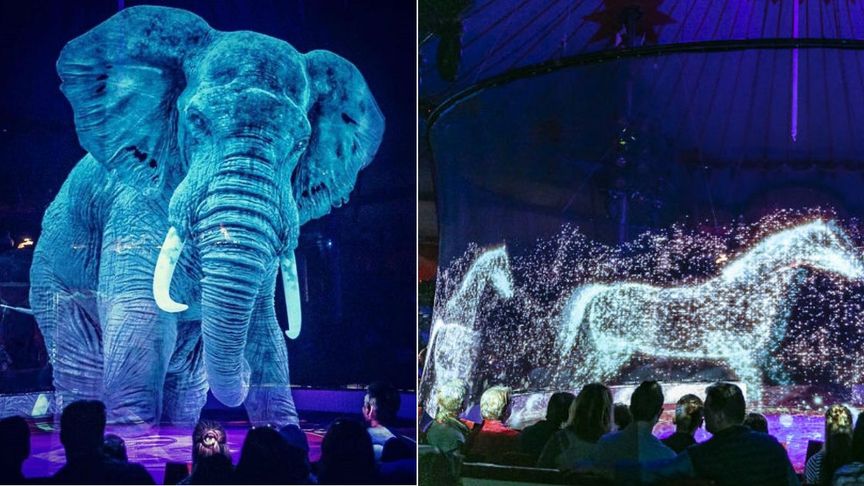 没有灵魂的表演?未来马戏团,利用3D全息投影打造虚拟动物表演