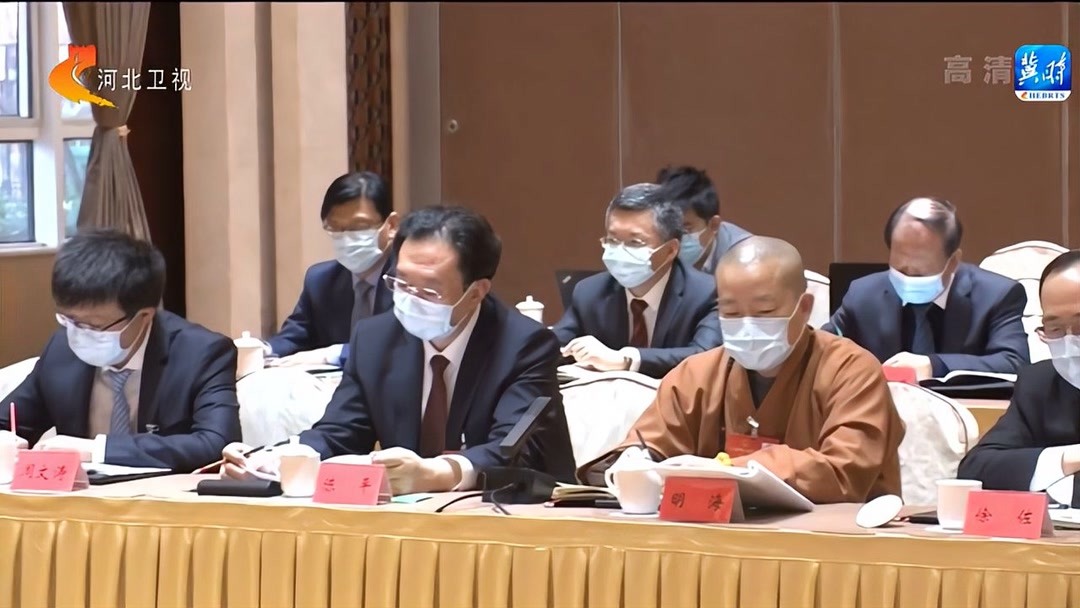 河北代表团分组审议政府工作报告,审查计划报告和预算报告