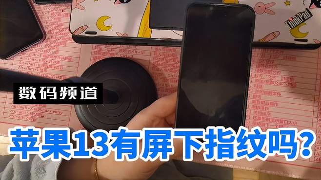 苹果13 有指纹解锁吗?