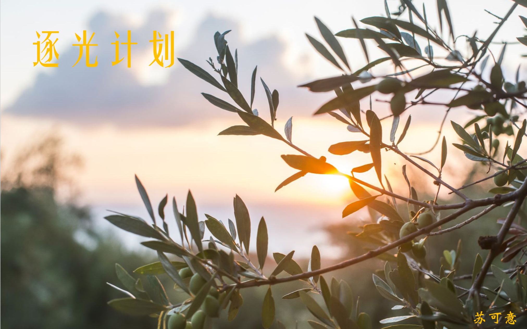 化学:化学计算题?没在怕的!