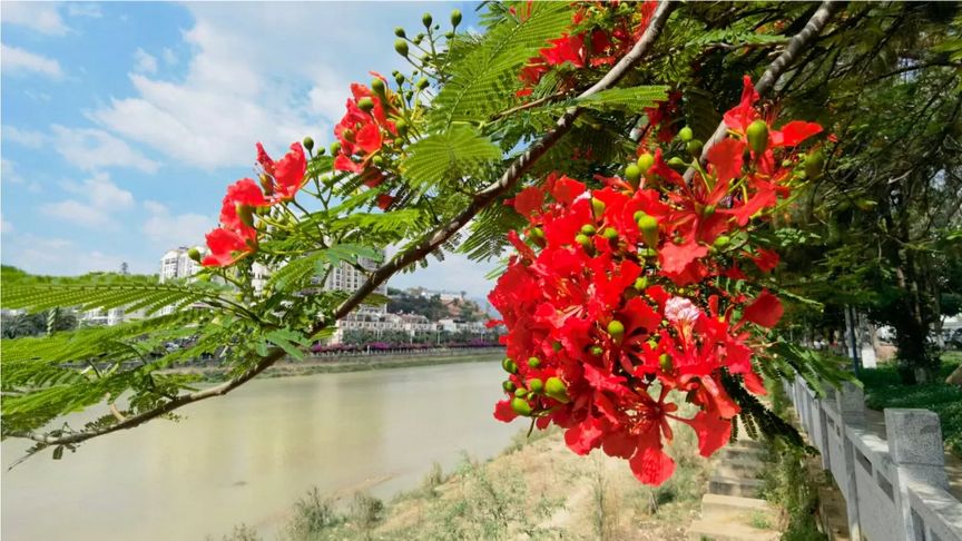 对学生减数分裂中染色体变化模型构建的评价