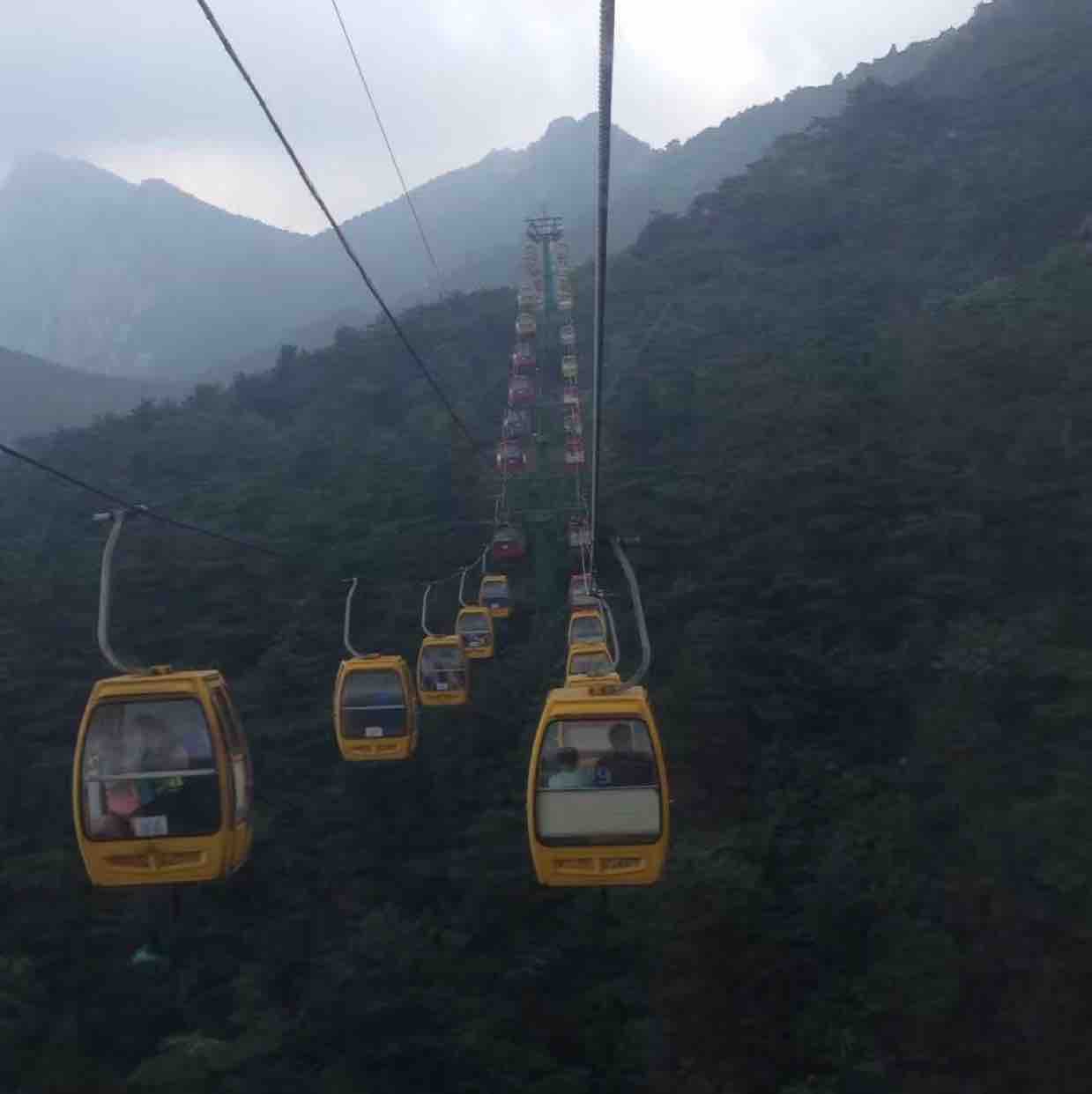 怀揣梦想的门窗哥 