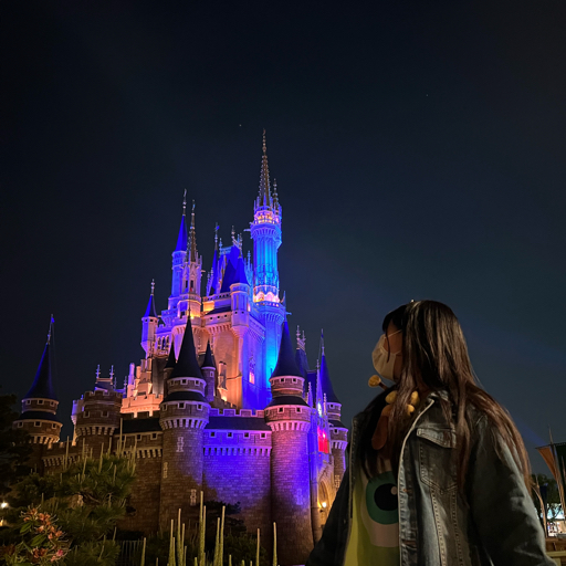 パイナップル-プラス 