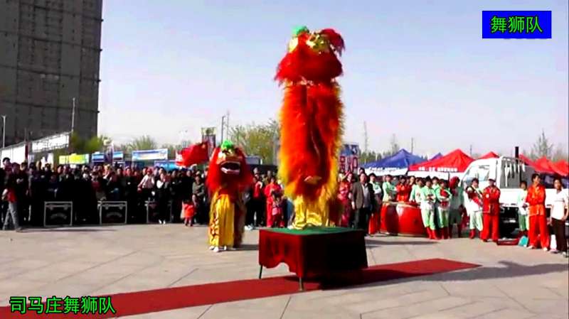 快来看这个耍狮子的舞狮队的表演肯定让你叫好