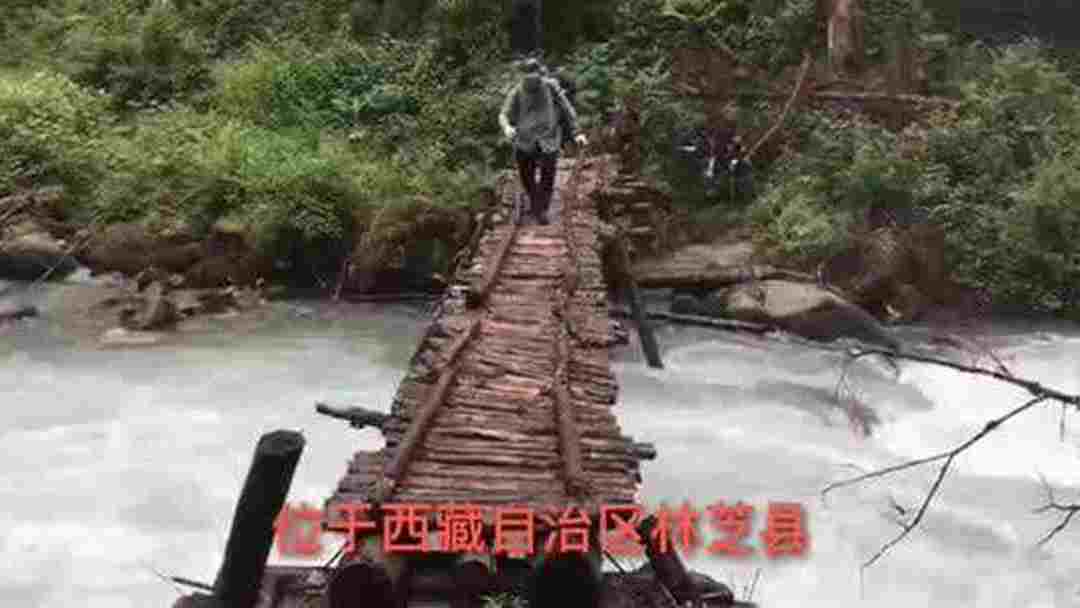 蚂蟥遍布,原始森林,探秘西藏最危险的徒步线路——墨脱徒步