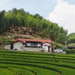 泓儿留英回国就职在上海 