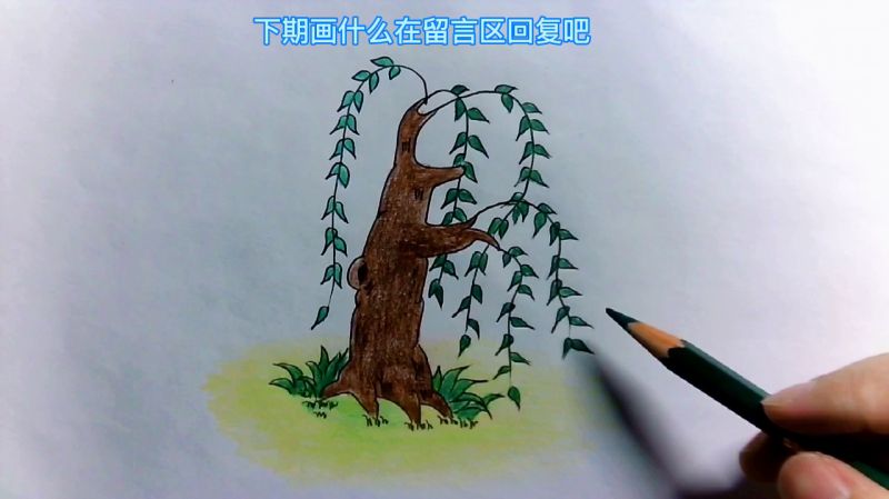 简笔画儿童画大全.手绘椰子树画法,在家就能学习画画