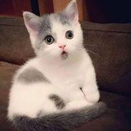 用户名一帆风顺的一帆 