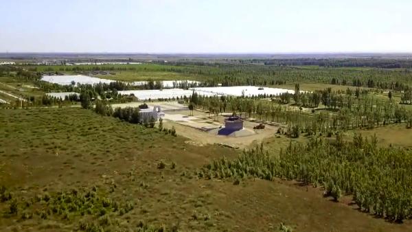 治沙人在库布齐,想在沙漠种出绿洲产出“金子”