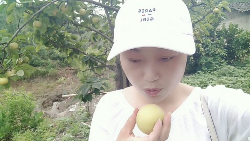 自家的梨子成熟了,这种在树子上摘下来就吃的感觉真过瘾