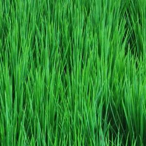 回不去的曾经放映厅 