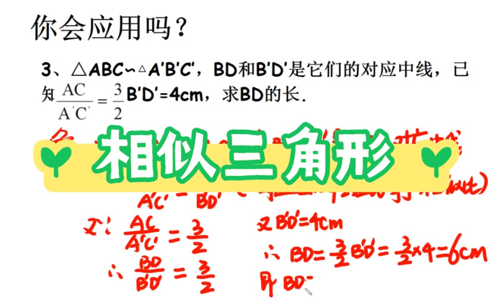 相似三角形性质的应用