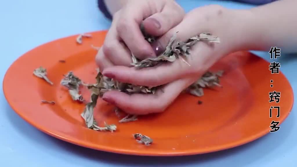 你知道随处可见的艾草有哪些妙用吗,一起来了解一下吧