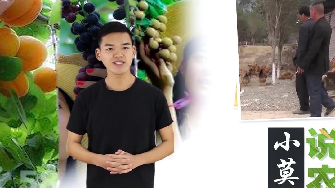 再过10来天,农村这几种人要交费了,谁都逃不过,有你吗?