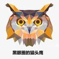黑眼圈的猫头鹰 