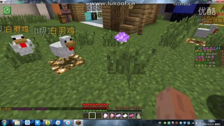 【我的世界】Minecraft RPG服务器(1)