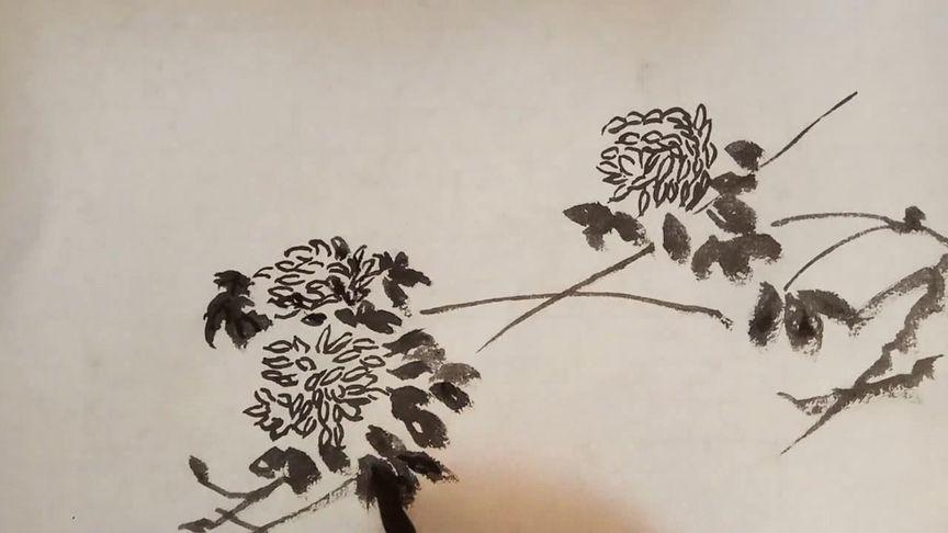 小写意菊花基础画法,简单好学